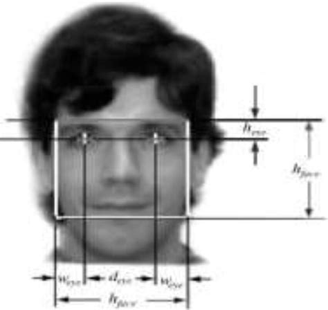 Feature Extraction By Anthropometric Relationships [17] Download Scientific Diagram