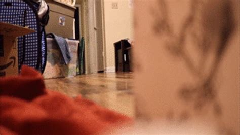 Giantess Catches You In Her House FullOfFantasies Clips Clips Sale