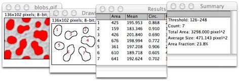 imagej measuring area measurements and regions of interest · analyzing