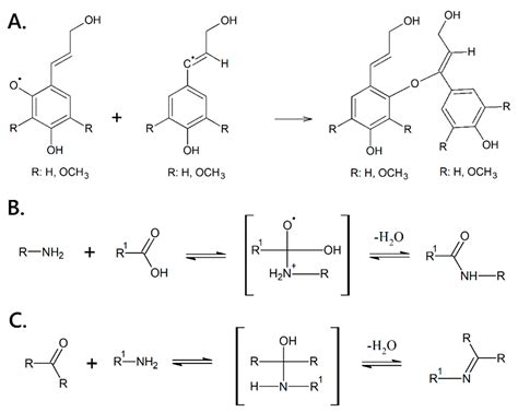 Synthesis And Characterization Of A Novel Lignin Based Biopolymer From Ulex Europaeus A