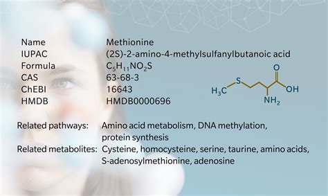 Methionine Metabolite Biocrates Life Science Ag