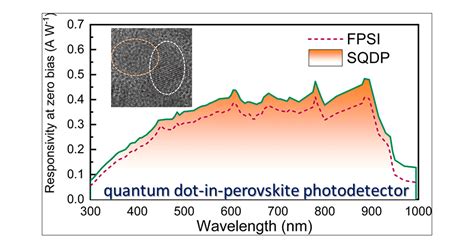 Achieving High Responsivity And Detectivity In A Quantum Dot In Perovskite Photodetector Nano