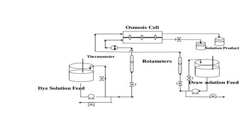 Schematic Diagram Of Forward Osmosis Process Download Scientific Diagram