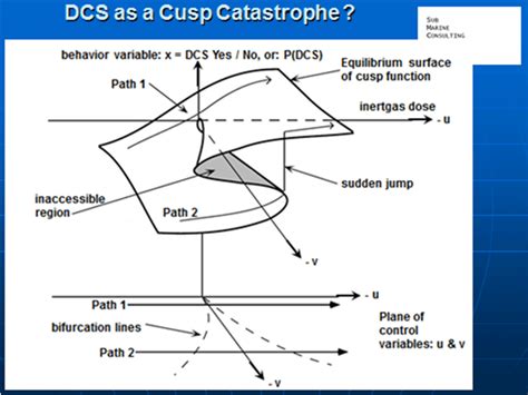 dcs as a cusp generic download scientific diagram