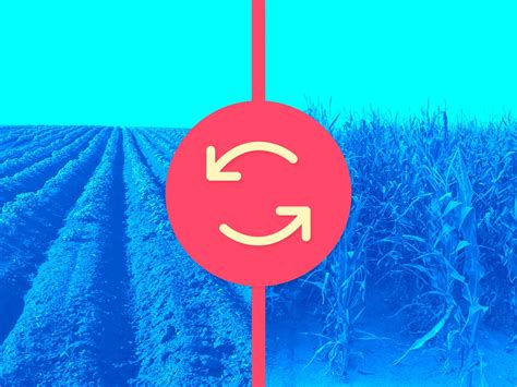 Optimizing Farming Practices With Iot