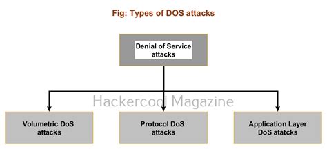 What Is Dos Attack How Many Types Of Dos Attacks Are There