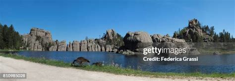 Goose Lake State Recreation Area Photos And Premium High Res Pictures Getty Images