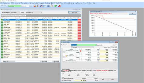 abacus fern software