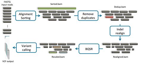 生信软件 Sentieon 生物信息 极客文档