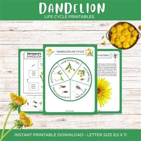 This Item Is Unavailable Etsy