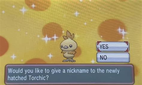 Got My Shiny Torchic W Speed Boost After Hatching 12 Eggs Roras