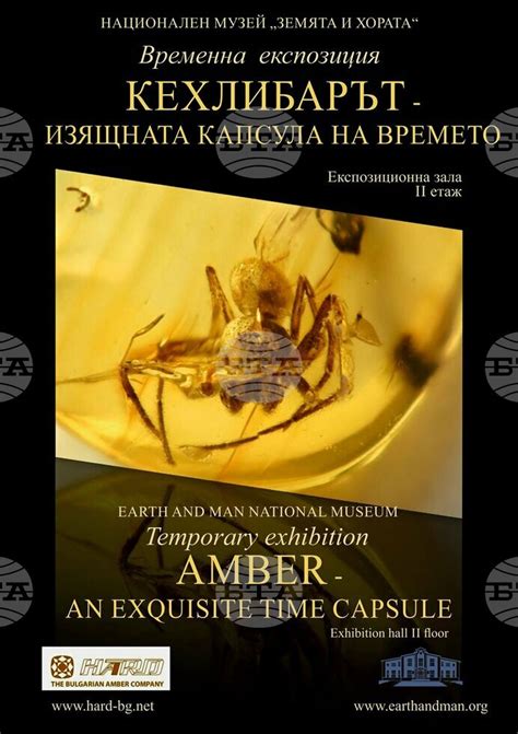 Четири изложби и пет концерта са включени в програмата на музей „Земята и хората“ през септември