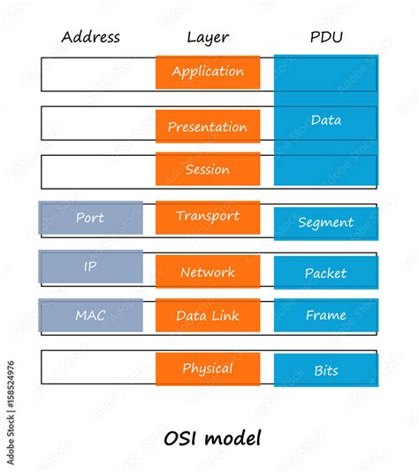 OSI Model Network Concept Diagram Stock Vector Adobe Stock