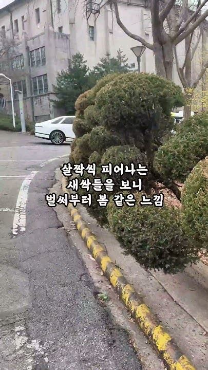 이화여대 디자인학부 브이로그 이화여대 이대 디자인 브이로그 Youtube