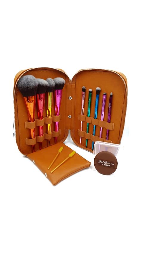 Brush Class Case