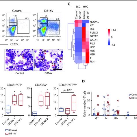 Multiparameter Flow Cytometry Showing Cd117 Positive Abnormal Mast Download Scientific Diagram