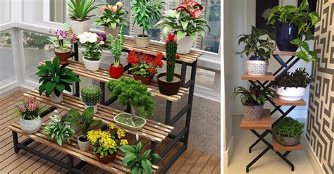 Estanterías Para Plantas Bonitas Ideas Para Exhibir Tu Colección
