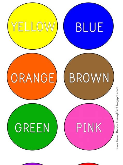 Color Sorting Activity Organize And Learn Colors
