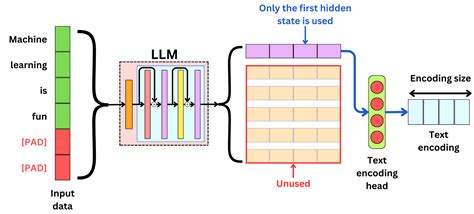 The Different Ways To Fine Tune Llms By Damien Benveniste