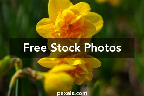 Lightining Effect Photos Download The Best Free Lightining Effect