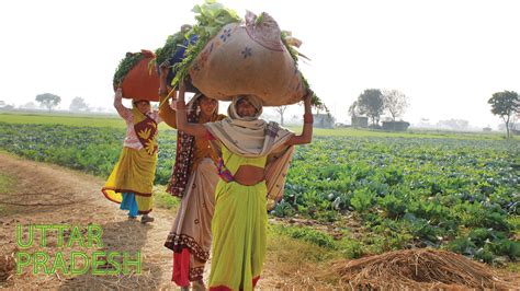 Uttar Pradesh States Of Viksit Bharat Annual Report 2024 Skoch Development Foundation