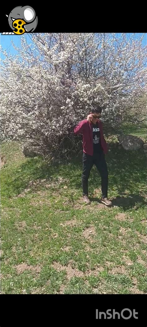 پسر جذاب لعنتی شرور فیلو