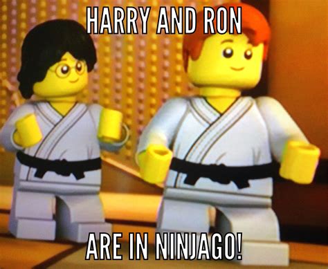 Pin By Cherish Berman On Lego Ninjago Ninjago Memes Ninjago Lego
