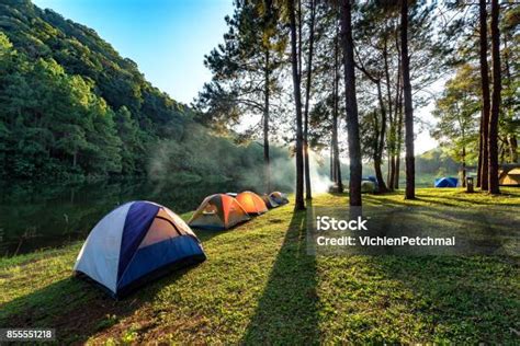 야영 모험 캠핑 및 야외 아침에 팡 웅 소나무 삼림 공원 매 홍 손 북의 태국 숲 배경에서 물 근처 소나무 숲 아래 텐트 개념 여행 북쪽에 대한 스톡 사진 및 기타 이미지