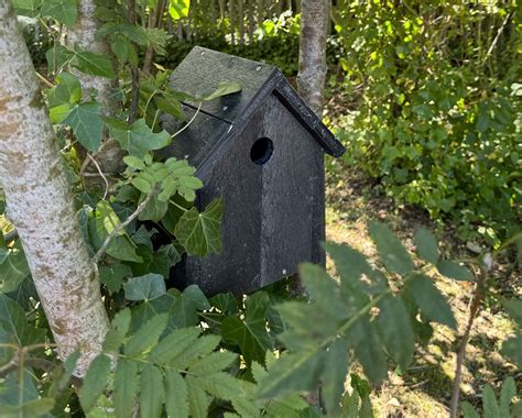 Recycled Plastic Bird Nest Boxes Plastecowood