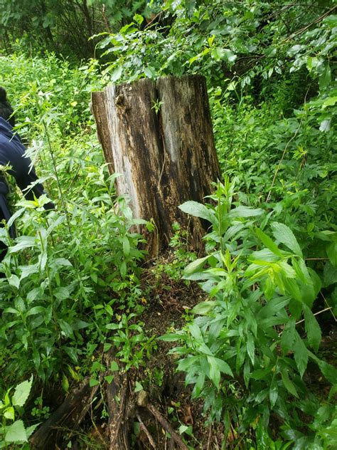 Pelham Bay Park Orchard Beach Bronx Ny Theodore Massiah