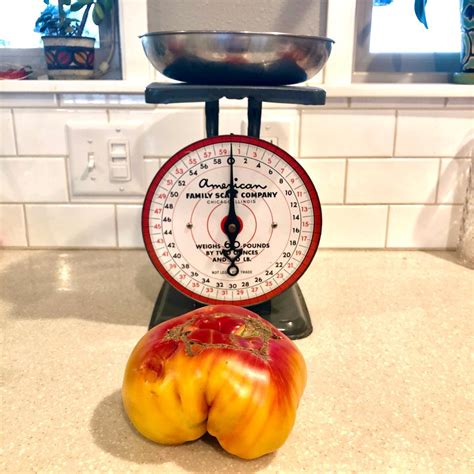 Chef Robin Leventhal