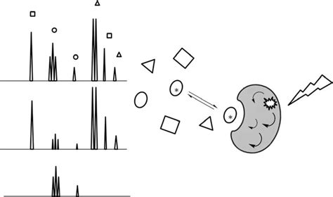 Schematic Representation Of The STD Experiment Download Scientific Diagram