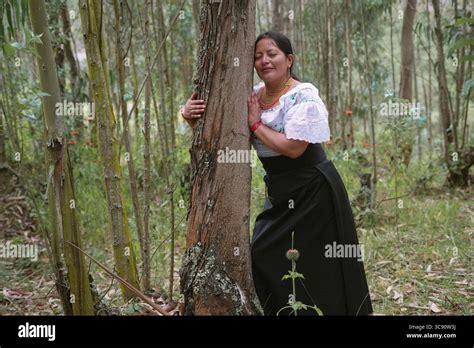 Indigenous Woman Embracing Tree In Lush Forest Celebrating Natures