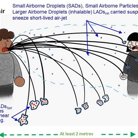 Coughs And Sneezes Spread Diseases Trap The Germs In Your