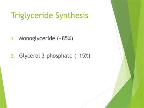 Lipids In The Body Functions Membrane Component Ppt Download