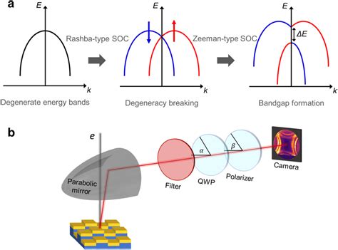 Spinorbit Interactions In Plasmonic Crystals Probed By Site Selective