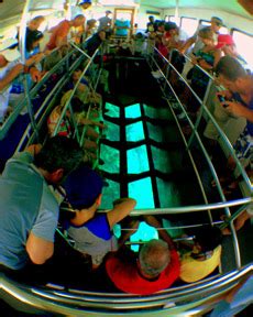 Glassbottom Boat Tours John Pennenkamp Coral Reef State Park
