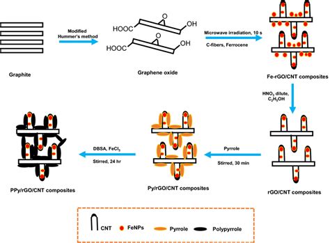 Schematic Of The Formation Of The Ppyrgocnt Composites Download Scientific Diagram