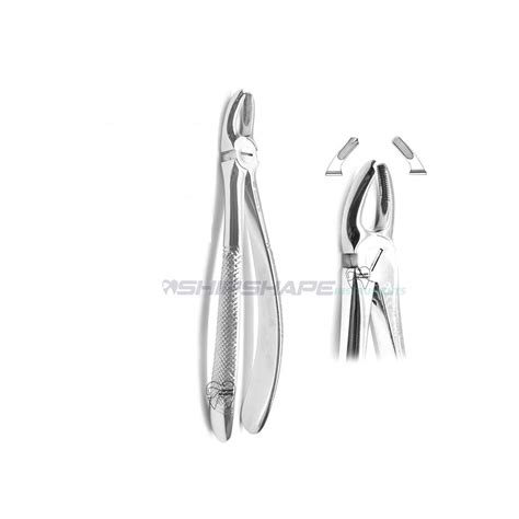 Extraction Forceps 17