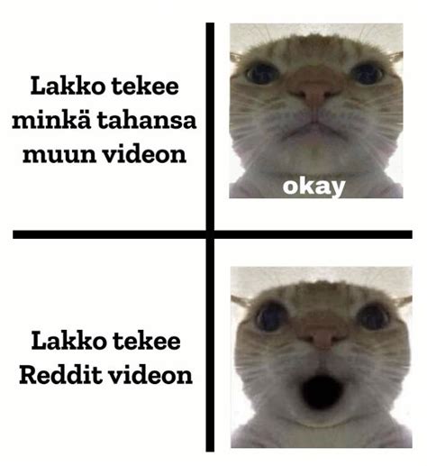 Reddit Hits Different Rlakkopostaukset