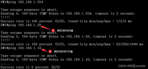 网络实验之vtp协议 csdn博客