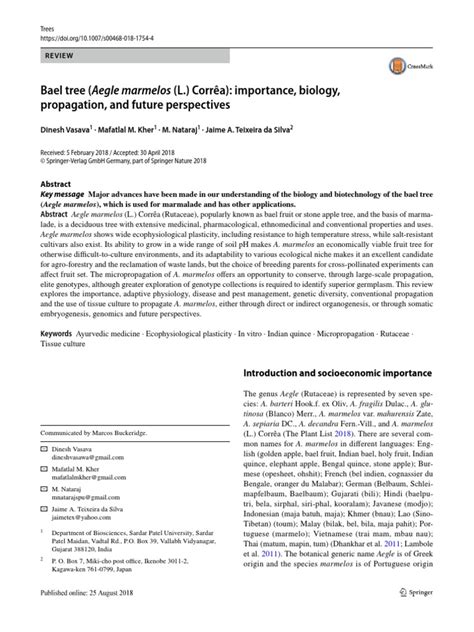Bael Tree Aegle Marmelos L Corrêa Importance Biology Propagation And Future Perspectives