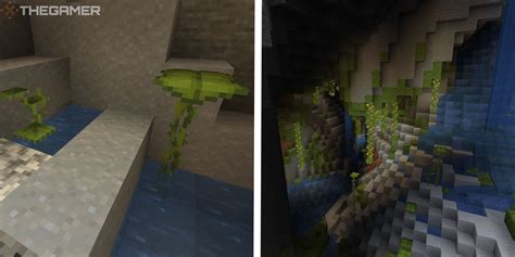 What Does A Drip Leaf Do In Minecraft At Andy Downey Blog