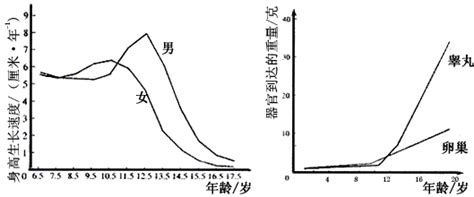 青春期发育特点是 ①身高和体重 ② 的功能趋于完善 ③性发育和 ——青夏教育精英家教网——