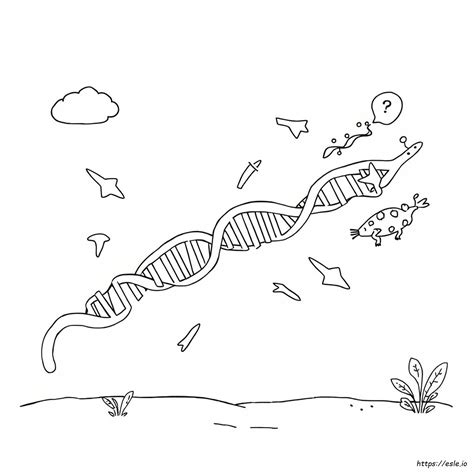 Dna Replication Coloring