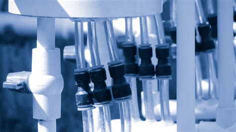 Principles Of Pasteurization Pinqkerton