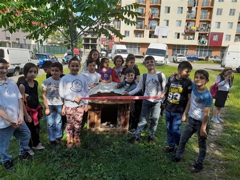 პროექტები ნუ გეშინია ცუგა