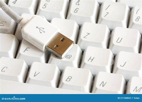USB Connector On A Keyboard Stock Photo Image Of Input Keyboard