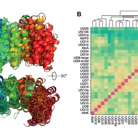 A Multiple Structural Alignment Of Predicted Protein Structures Of
