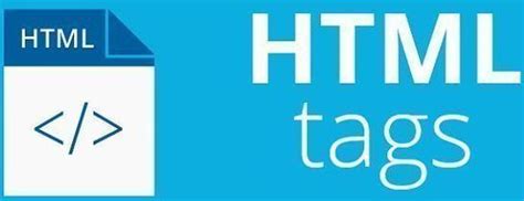 Cbse Computer Class Viii Solved Exercise 6 Smart Learning